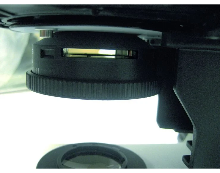 Kính hiển vi huỳnh quang Leica DM500